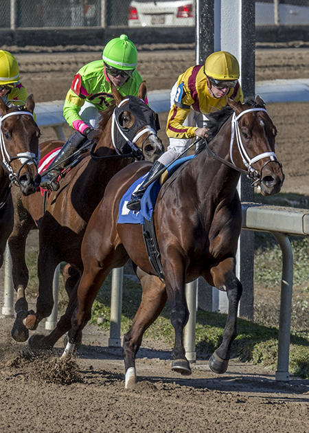 Seven Undercard Stakes Recaps on “Road to the Derby Kickoff Day” - Fair ...