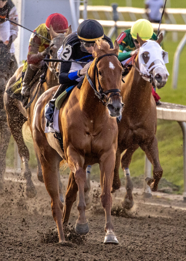 Little Miss Curlin Dominates Donovan L. Ferguson - Fair Grounds Race ...