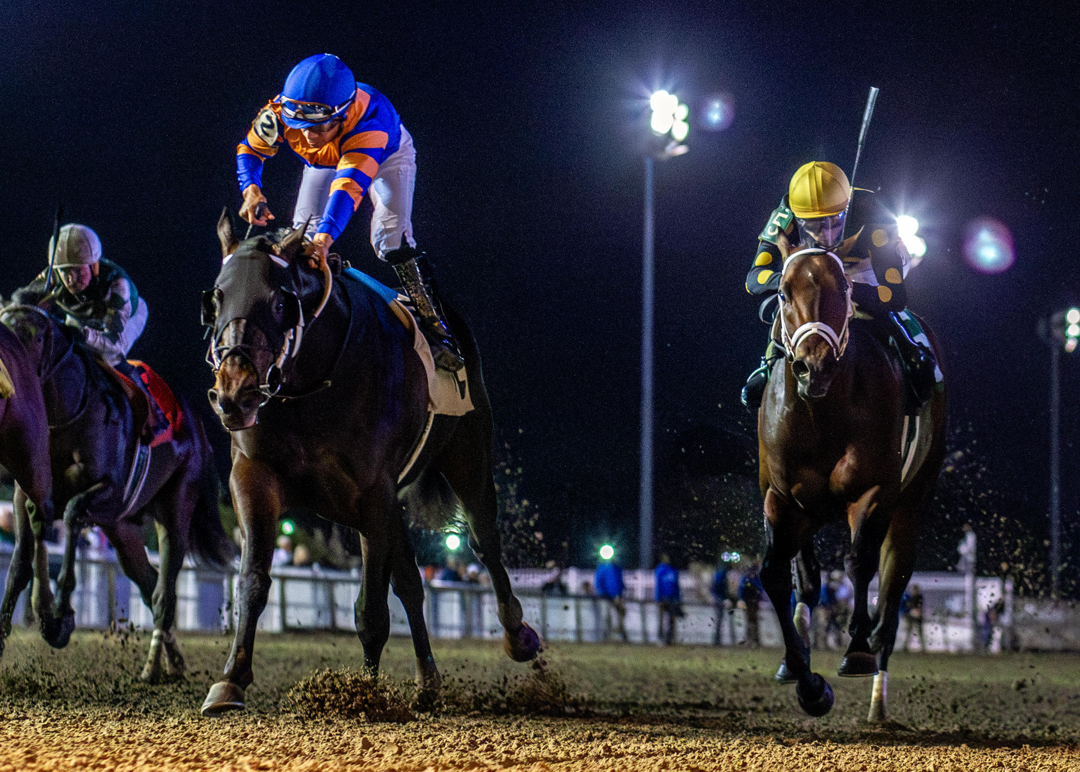 Top Barns Take Aim at Chip Honcho in Grade 3 $250,000 Lecomte - Fair ...